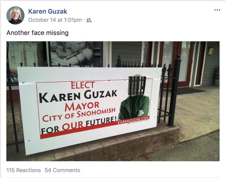 Defaced signs given new faces – Karen Guzak: Artist. Yogi. Politician